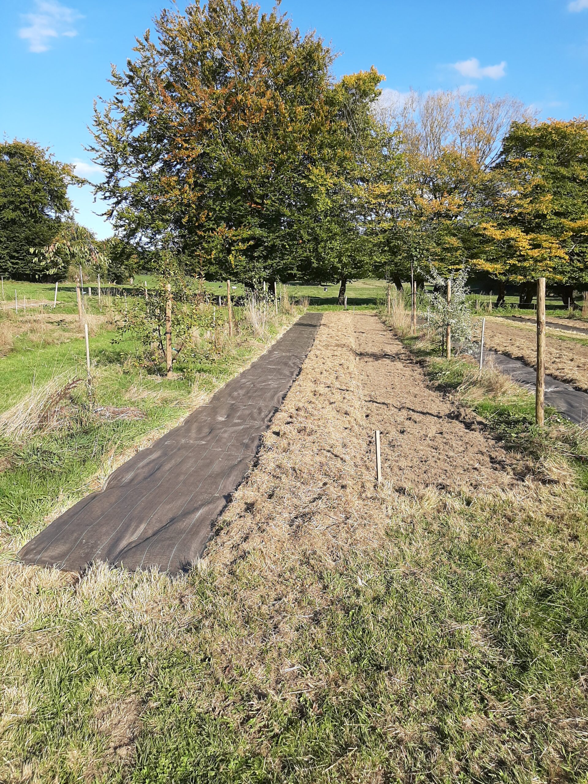 Préparation des planches tests (maraîchage) - Le Pré Don