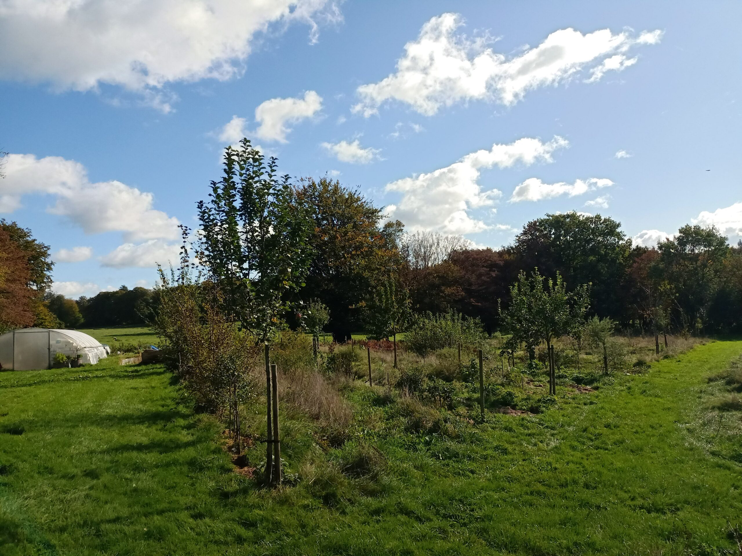 Modèle 3D du Pré Don (hiver) - Le Pré Don